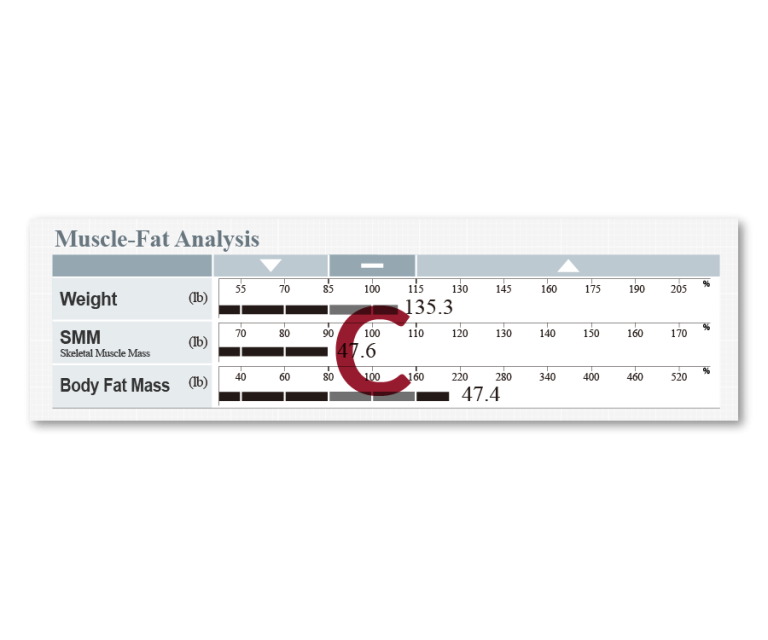 In-Body 570: Muscle-Fat Analysis with In-Body Scan - Axxeleration Physio+